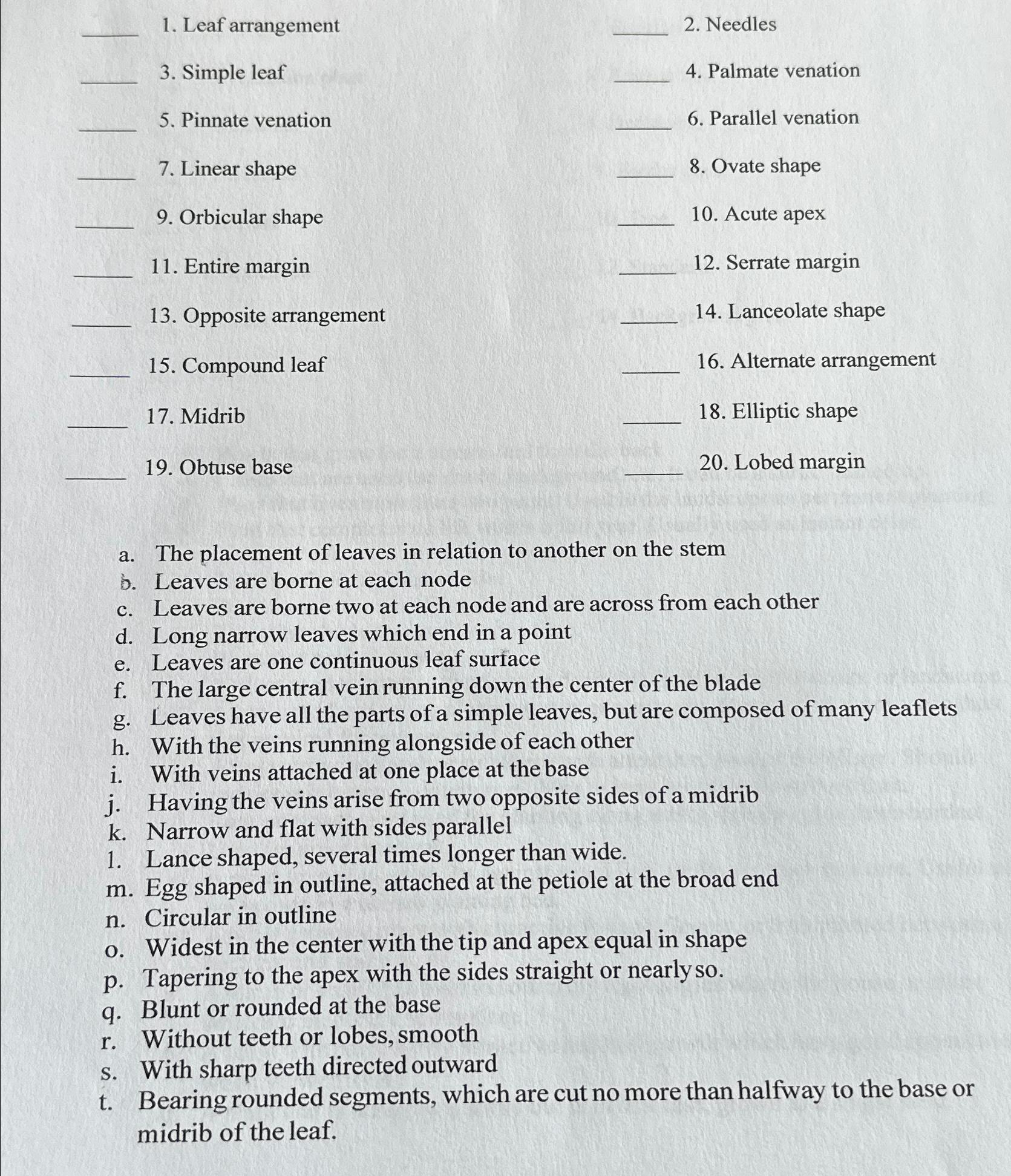 Solved Leaf arrangementNeedlesSimple leafPalmate | Chegg.com