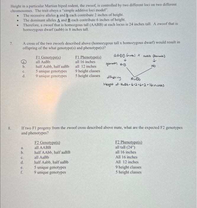 Solved Height in a particular Martian biped rodent, the | Chegg.com