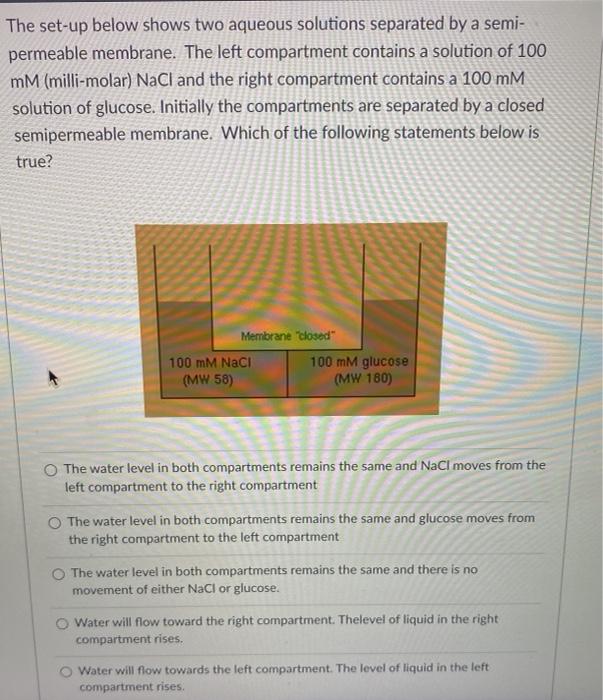 Solved The set-up below shows two aqueous solutions | Chegg.com