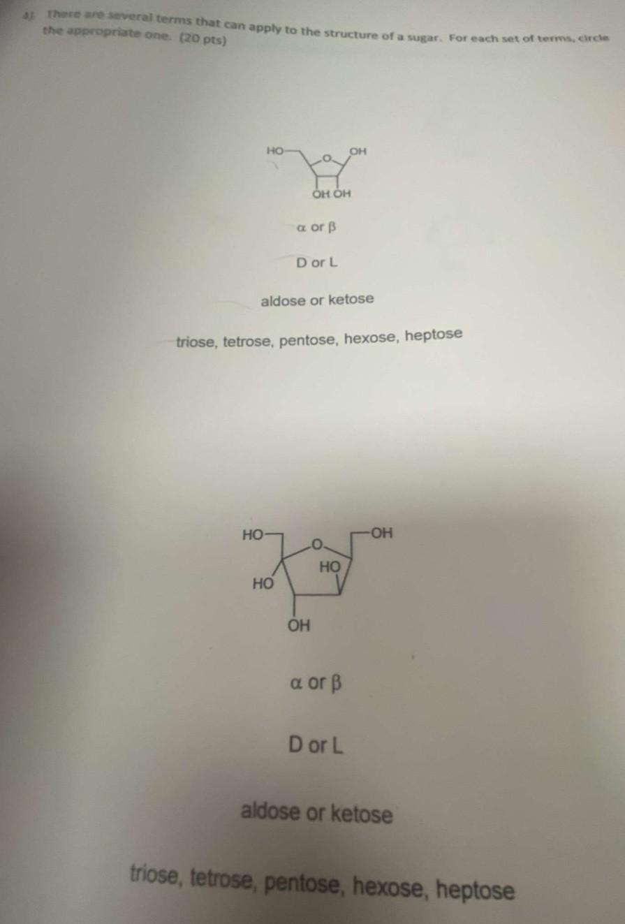 Solved There are several terms that can apply to the | Chegg.com