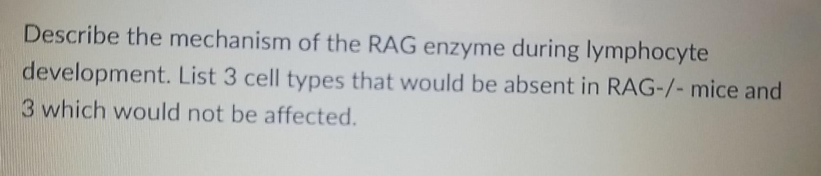 Solved Describe the mechanism of the RAG enzyme during | Chegg.com