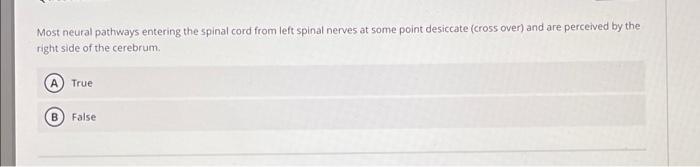 Solved Most neural pathways entering the spinal cord from | Chegg.com