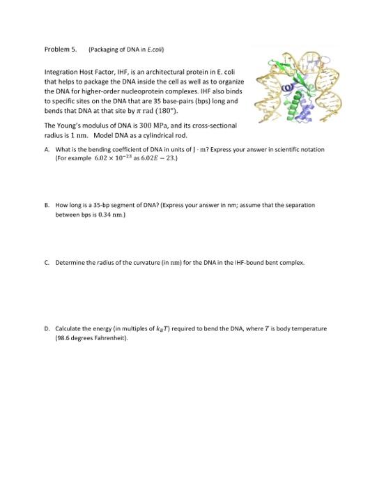Solved Integration Host Factor, IHF, is an architectural | Chegg.com