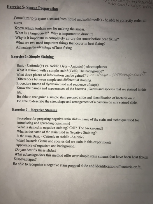 Solved -Fohandl NO Cont. Lat Exercise 5-Smear Preparation | Chegg.com
