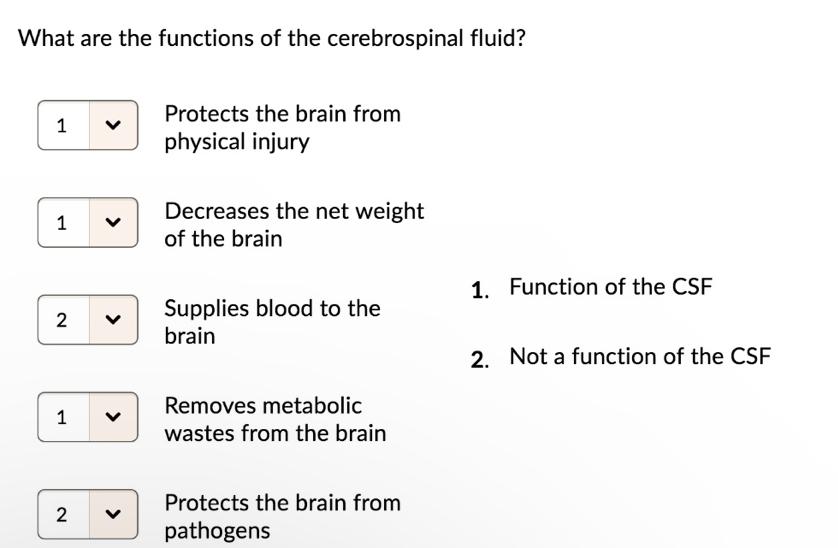Solved What are the functions of the cerebrospinal | Chegg.com