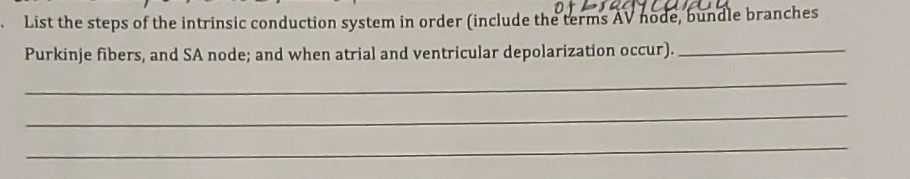 Solved List the steps of the intrinsic conduction system in | Chegg.com