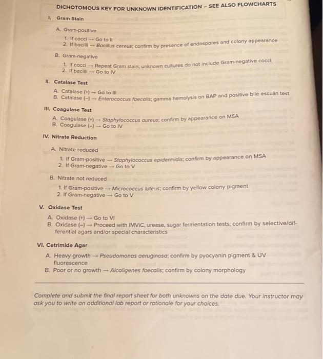 Solved IDENTIFICATION OF UNKNOWN BACTERIA - Final Report | Chegg.com