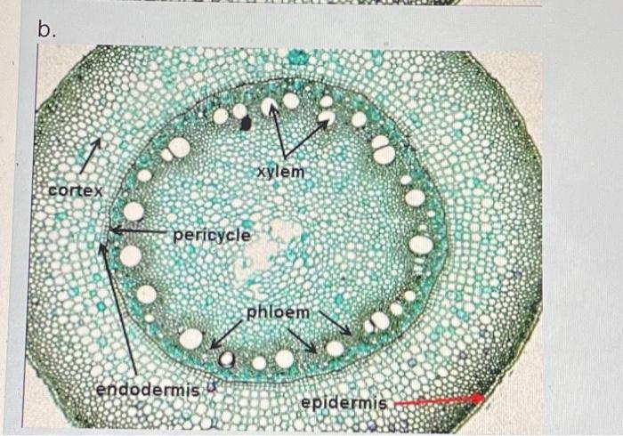 Solved EXPERIMENT 3: Which of the following is a correctly | Chegg.com