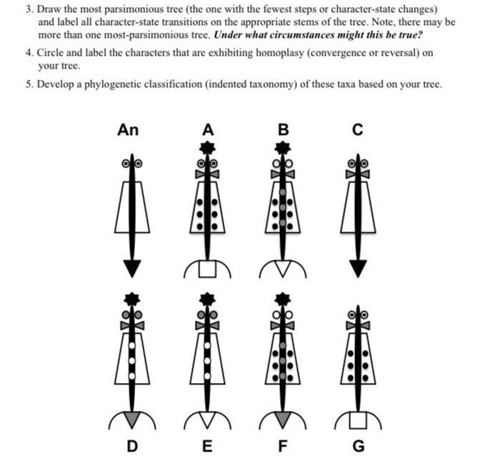 Solved 3. Draw the most parsimonious tree (the one with the | Chegg.com