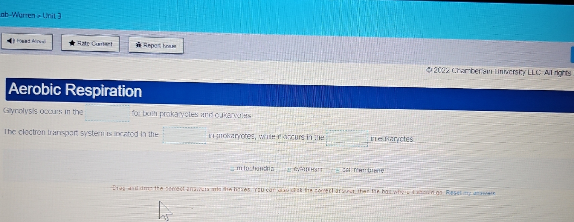 Solved ab-Warren > ﻿Unit 32022 ﻿Chamberlain University LLC. | Chegg.com