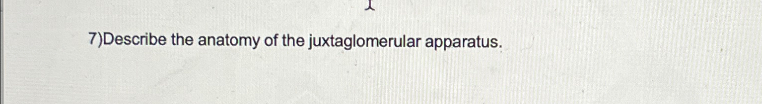 Solved Describe the anatomy of the juxtaglomerular | Chegg.com