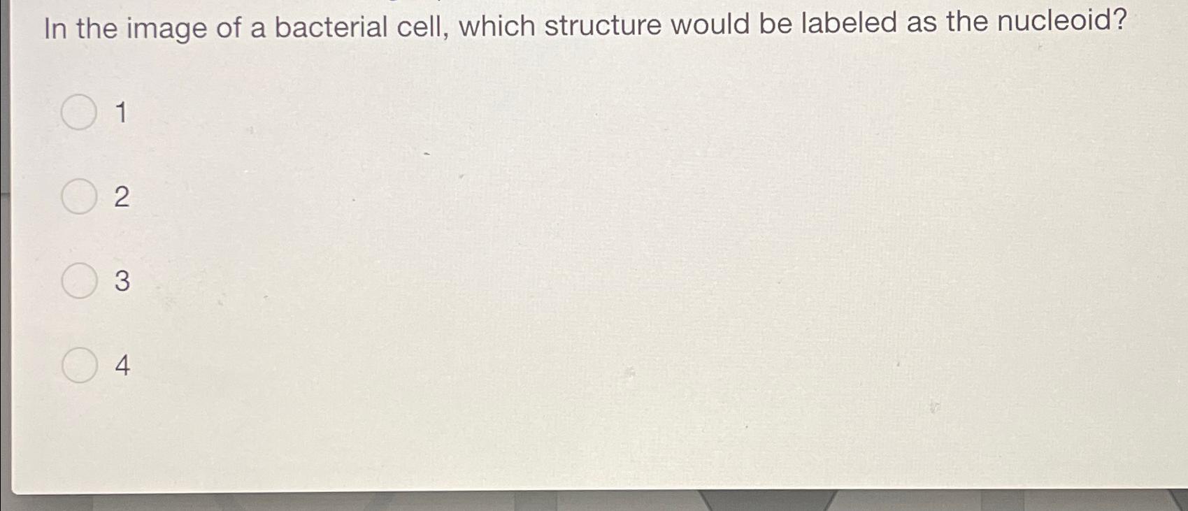 In the image of a bacterial cell, which structure | Chegg.com