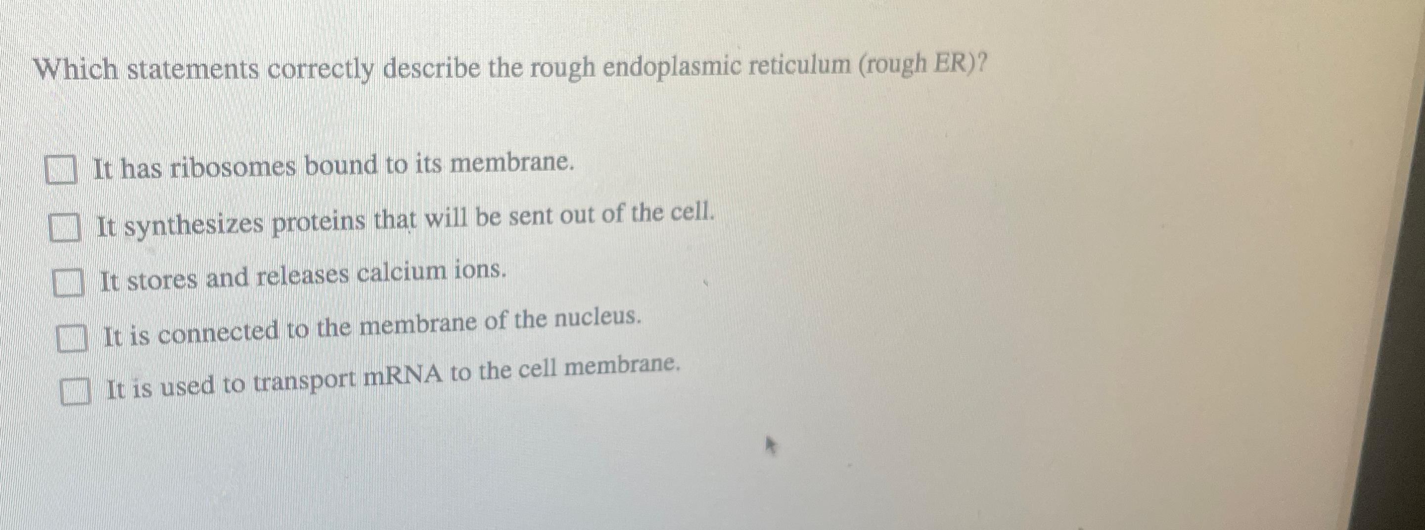 Solved Which statements correctly describe the rough | Chegg.com