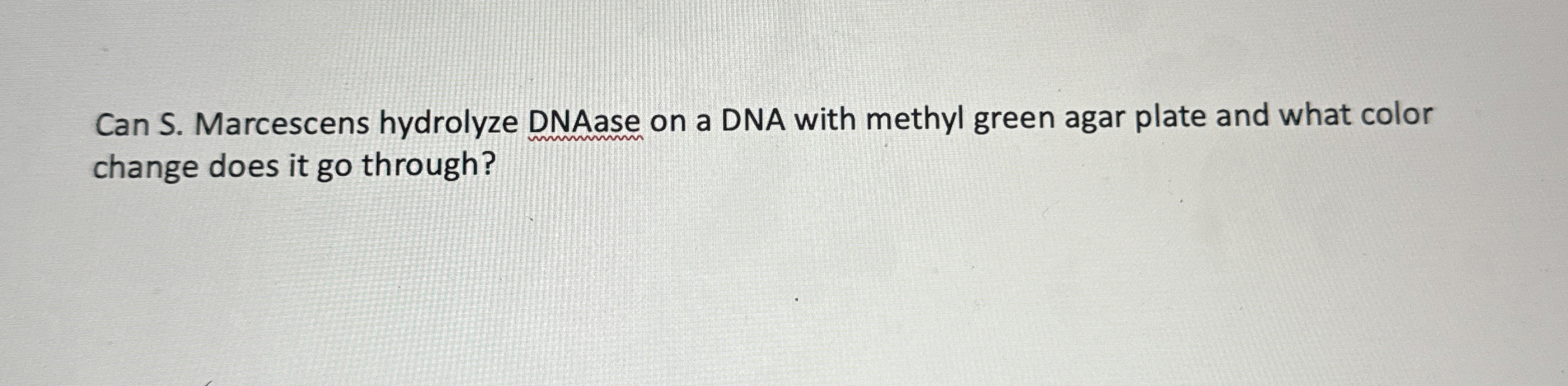 Solved Can S. ﻿Marcescens hydrolyze DNAase on a DNA with | Chegg.com