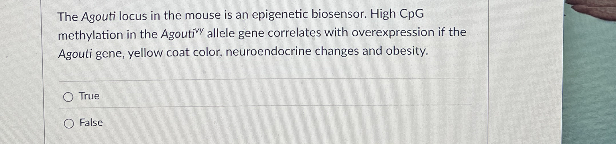 Solved The Agouti locus in the mouse is an epigenetic | Chegg.com