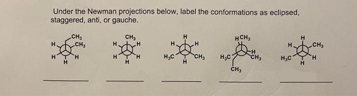 Solved Under the Newman projections below, label the | Chegg.com