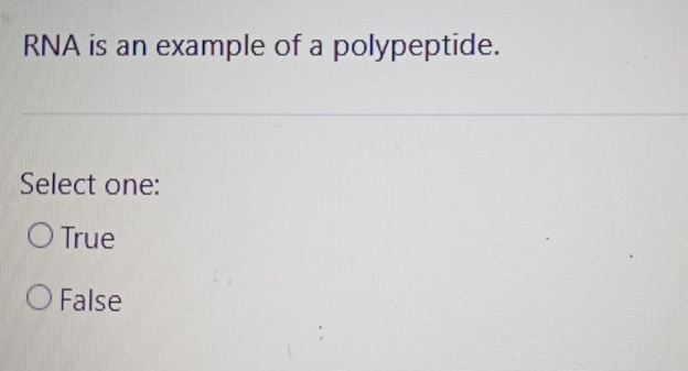 Solved RNA is an example of a polypeptide.Select | Chegg.com