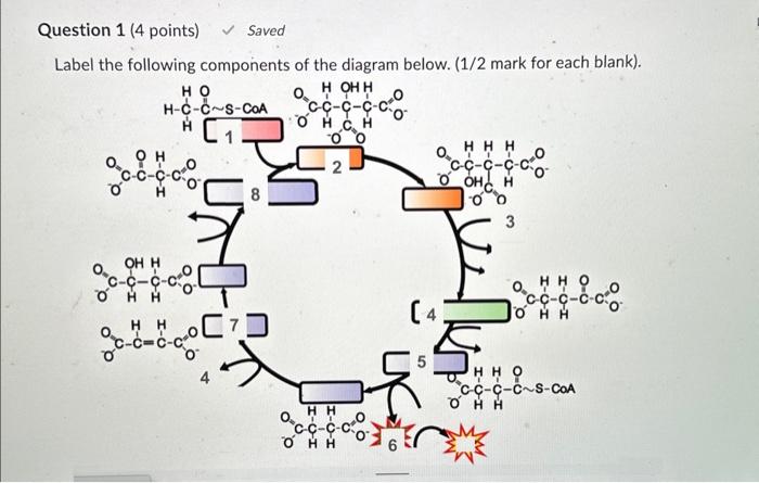 Solved Label the following components of the diagram below. | Chegg.com