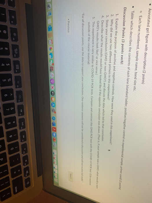 Solved Annotated gel figure with description (2 points) Each | Chegg.com