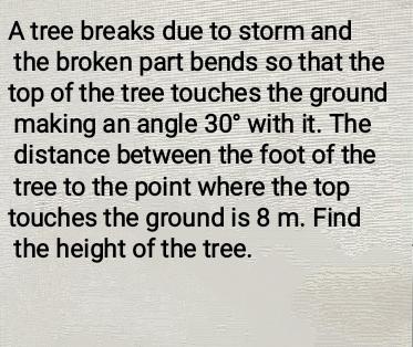 Solved A tree breaks due to storm and the broken part bends | Chegg.com