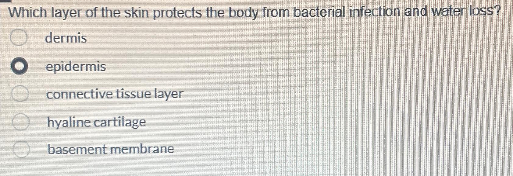 Solved Which layer of the skin protects the body from | Chegg.com