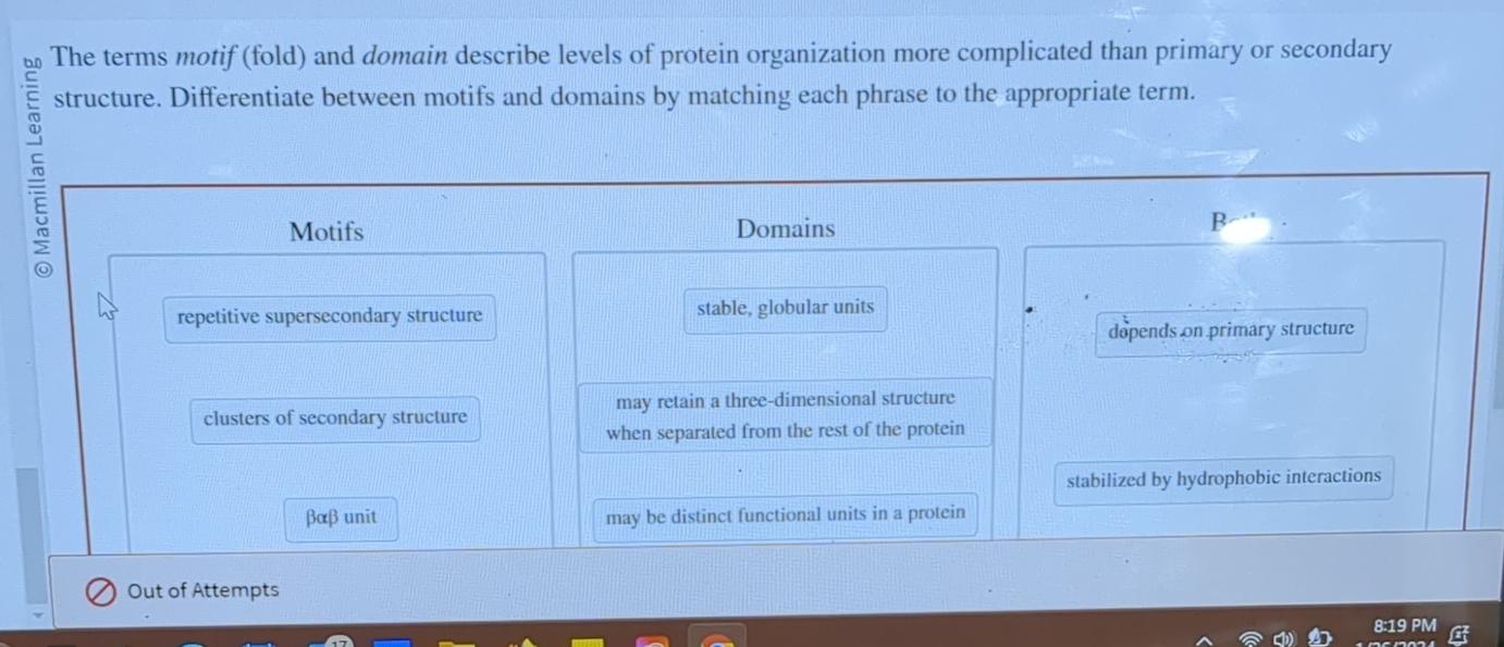 Solved The terms motif (fold) ﻿and domain describe levels of | Chegg.com