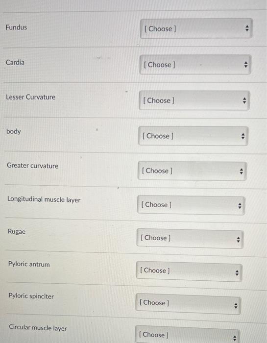 Solved Naten the stomacn structure in the lett-hand column | Chegg.com