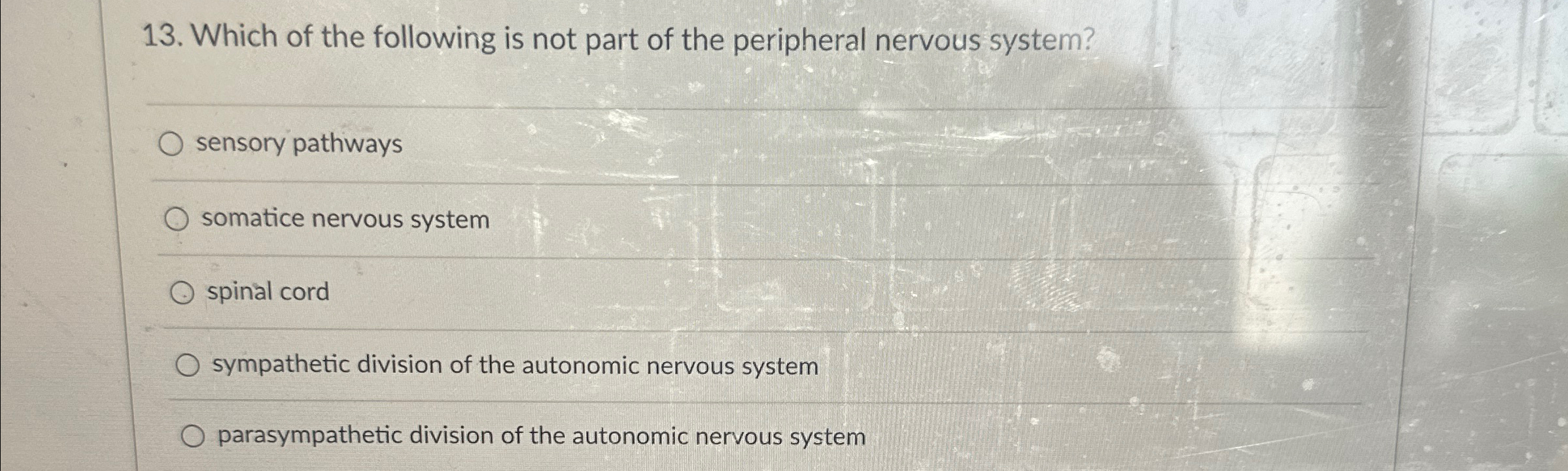 Solved Which of the following is not part of the peripheral | Chegg.com