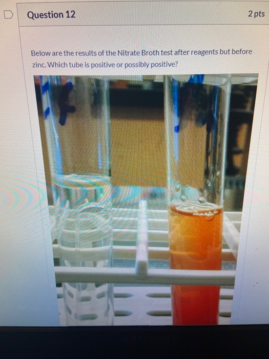 Solved Question 12 2 pts Below are the results of the | Chegg.com