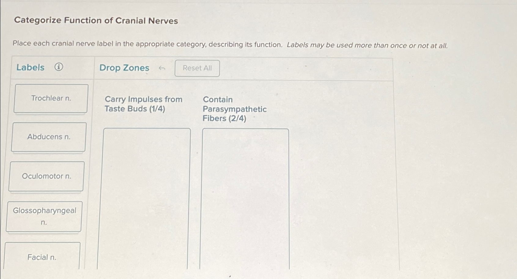 Solved Categorize Function of Cranial NervesPlace each | Chegg.com