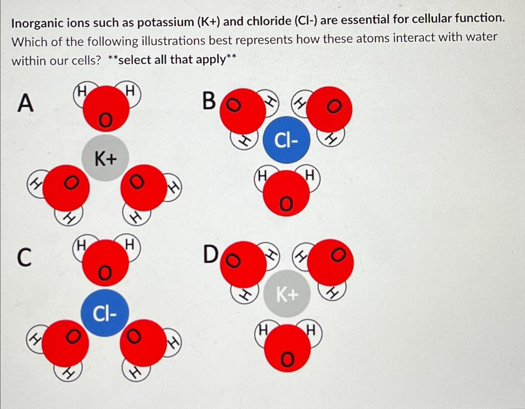 Solved Inorganic ions such as potassium (K+) ﻿and chloride | Chegg.com
