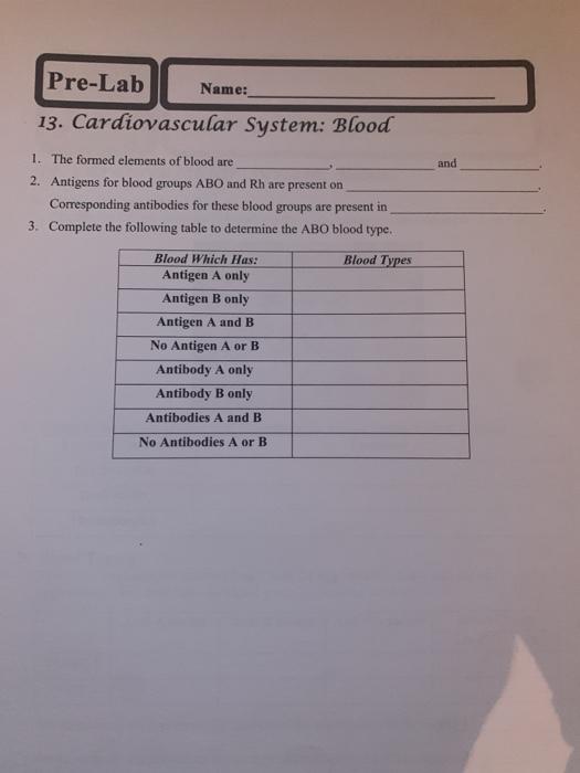 Solved Pre-Lab Name: 13. Cardiovascular System: Blood and 1. | Chegg.com