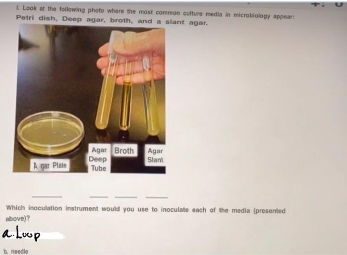 Solved Agar Broth Deep Tube Agar Slant Agar Plate, 46% OFF