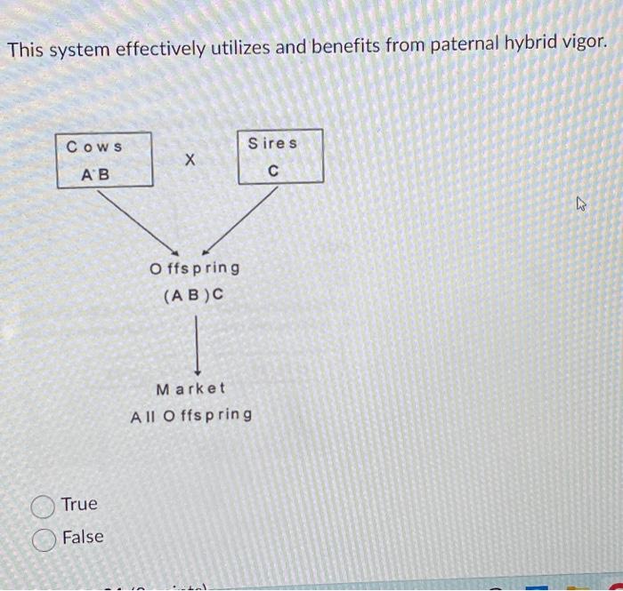 Solved This system effectively utilizes and benefits from | Chegg.com