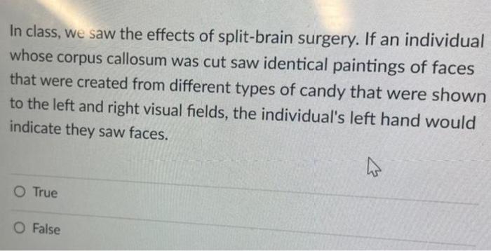 Solved In class, we saw the effects of split-brain surgery. | Chegg.com
