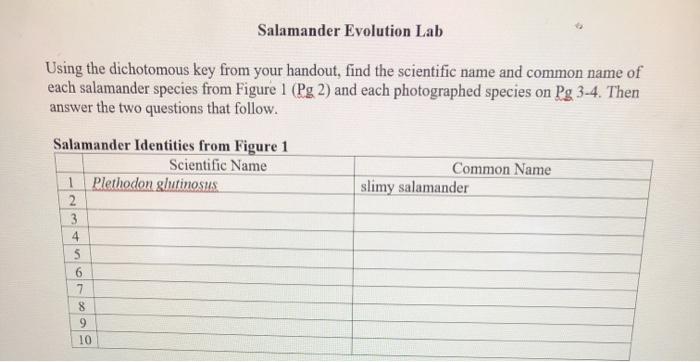 Solved 2 5 6 Salamander Evolution Lab Using the | Chegg.com