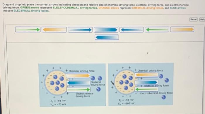 Solved Drag and drop into place the correct arrows | Chegg.com