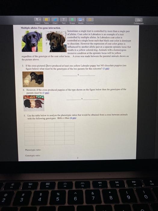 Solved Insert Table Chart Text Shape Media Comment | Chegg.com
