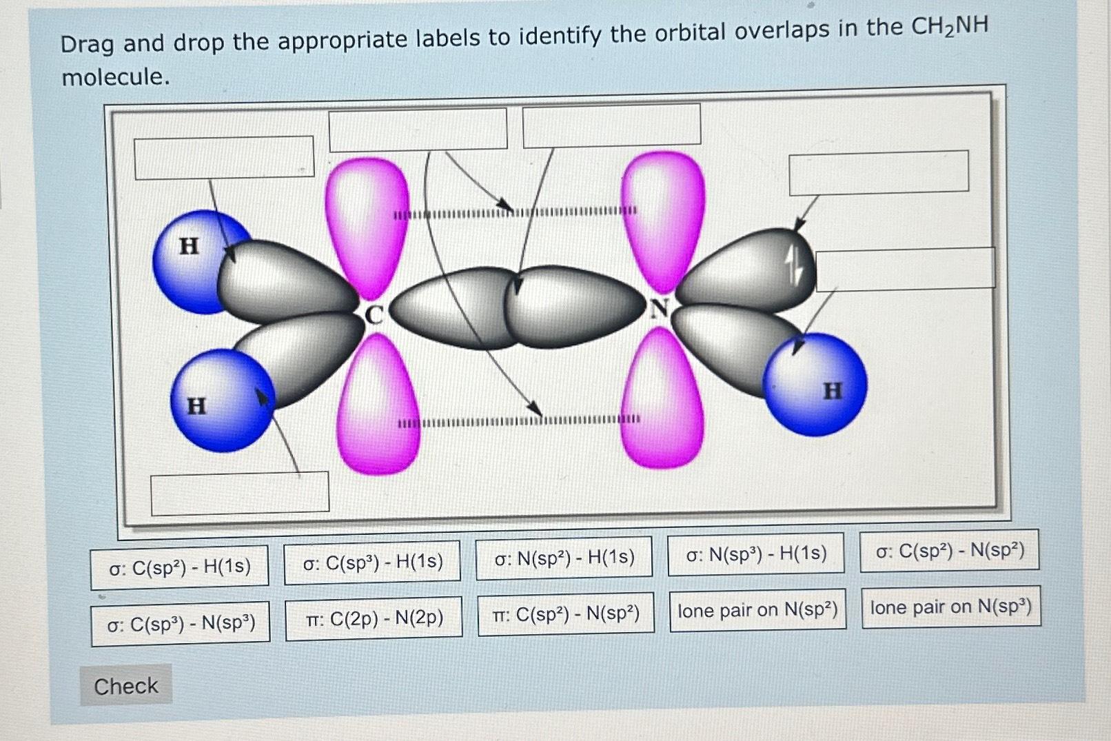 Solved Drag and drop the appropriate labels to identify the | Chegg.com