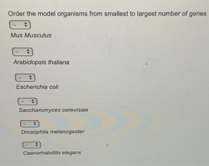 Solved Order the model organisms from smallest to largest | Chegg.com