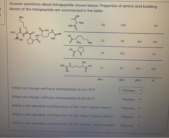 Solved Answer questions about tetrapeptide shown below. | Chegg.com