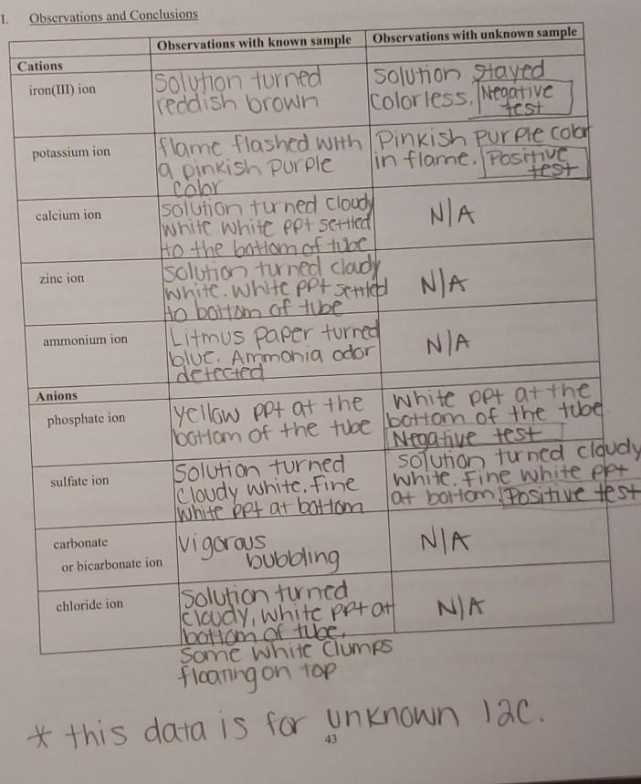 Solved 1. Observations and Conclusions Observations with | Chegg.com