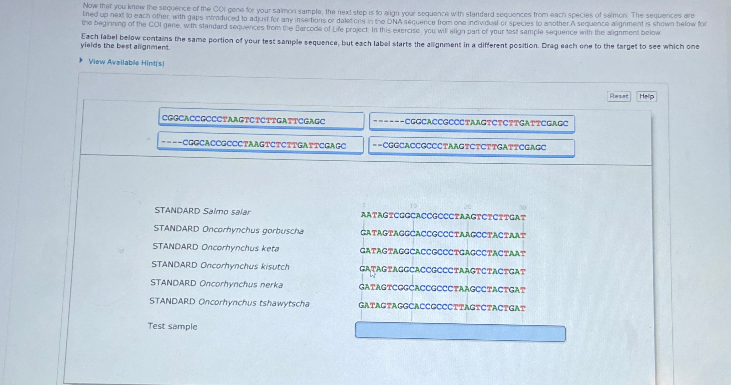 Solved the beginning of the COI gene, with standard | Chegg.com