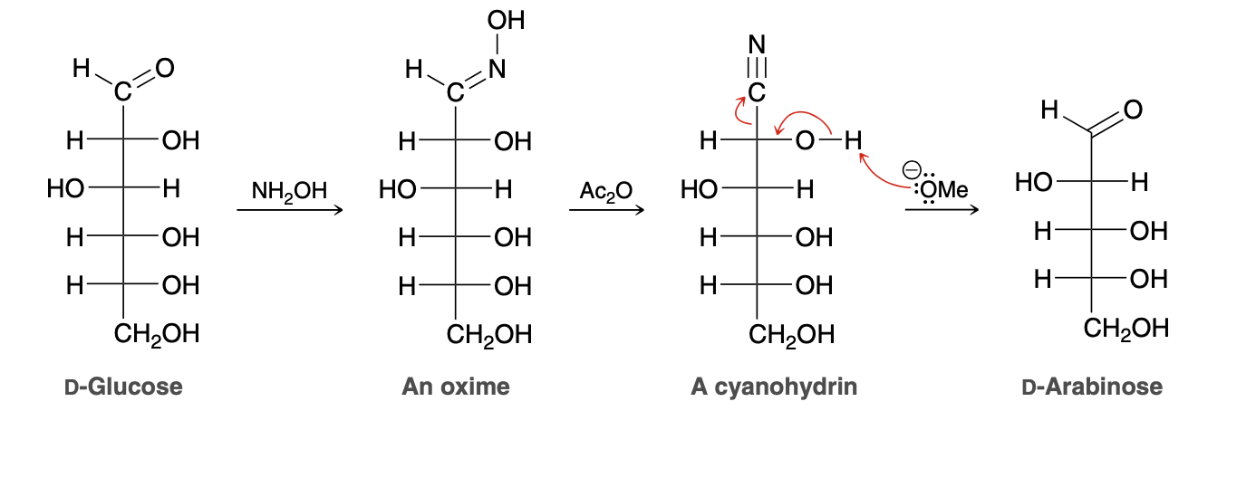 Solved Propose a step-by-step mechanism for Wohl degradation | Chegg.com