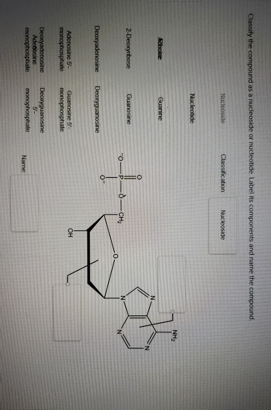 Solved Classify the compound as a nucleoside or nucleotide | Chegg.com