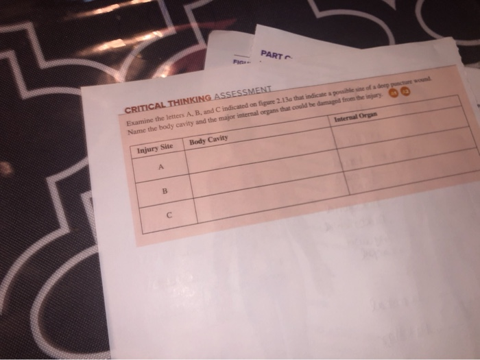 Solved FIGURE 2.13 Label the indicated body surface regions | Chegg.com