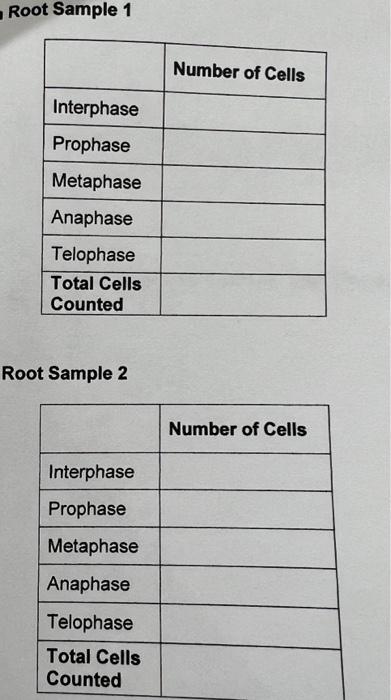 Root Sample 1 Root Sample 2 Corn Root Tip \#1 Corn | Chegg.com