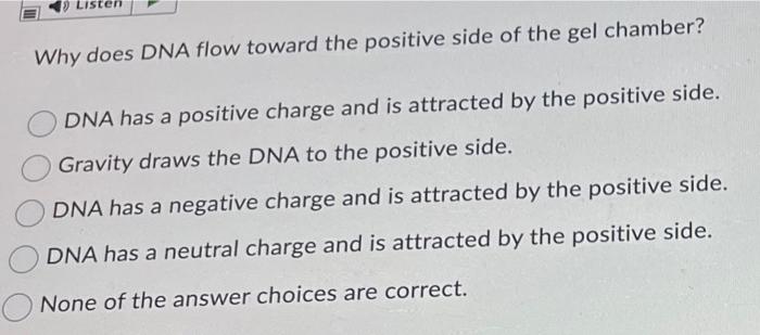 Solved Listen Why does DNA flow toward the positive side of | Chegg.com