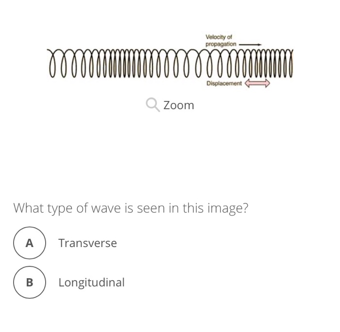 Solved Velocity of propagation mononummu m mm Displacement Q | Chegg.com