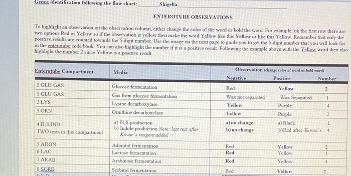 Solved Genus identification following the flow chart: | Chegg.com